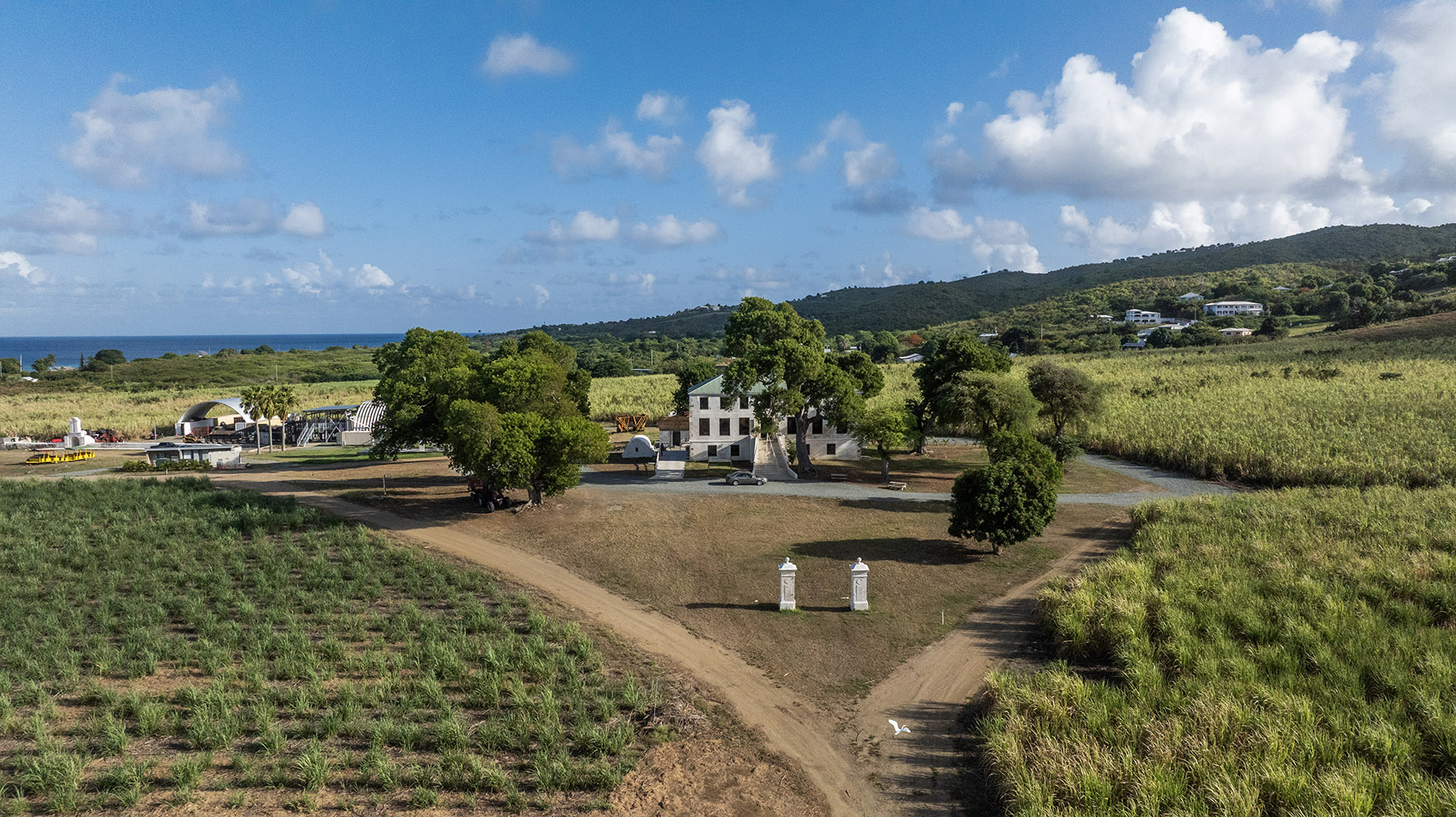 From Cane to Cocktail: A True Farm-to-Bottle Experience - Prosperity ...